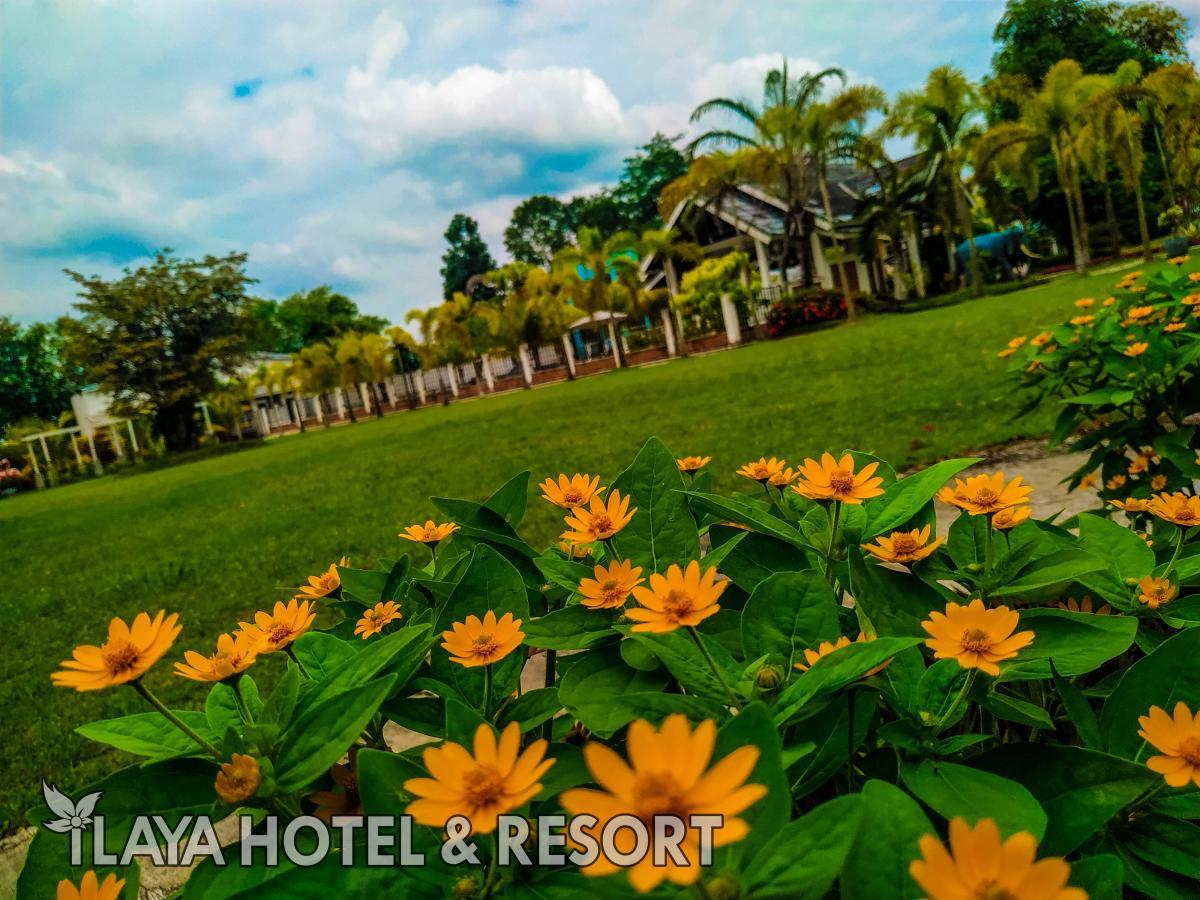 Gallery – Ilaya Hotel & Resort